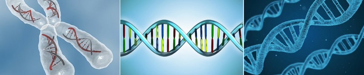 Genetics Of Balding Explored By Researchers